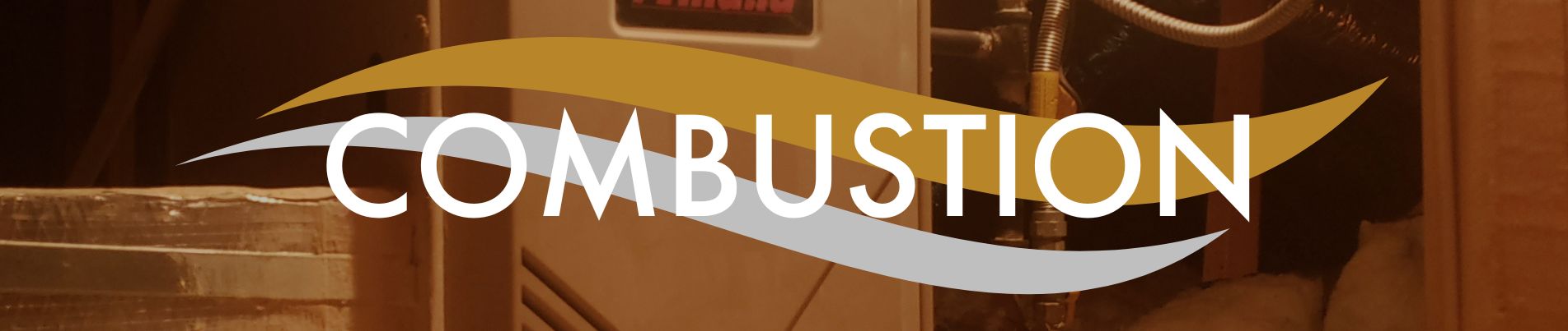 Search Combustion Products - Field Controls